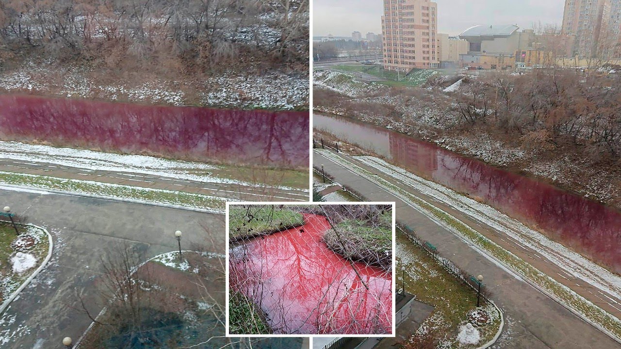 Mystery as rivers in Russia turn BLOOD RED and animals refuse to enter ...