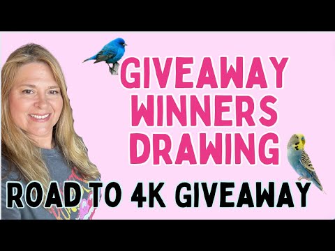 Creating with Jovi is live Picking the Giveaway Winners! - YouTube
