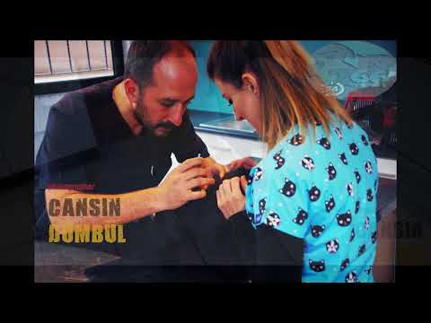 266 Veteriner Slayt Tanıtım