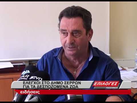 ΕΛΕΓΧΟΙ ΣΤΟ ΔΗΜΟ ΣΕΡΡΩΝ ΓΙΑ ΤΑ ΔΕΣΠΟΖΟΜΕΝΑ ΖΩΑ - YouTube