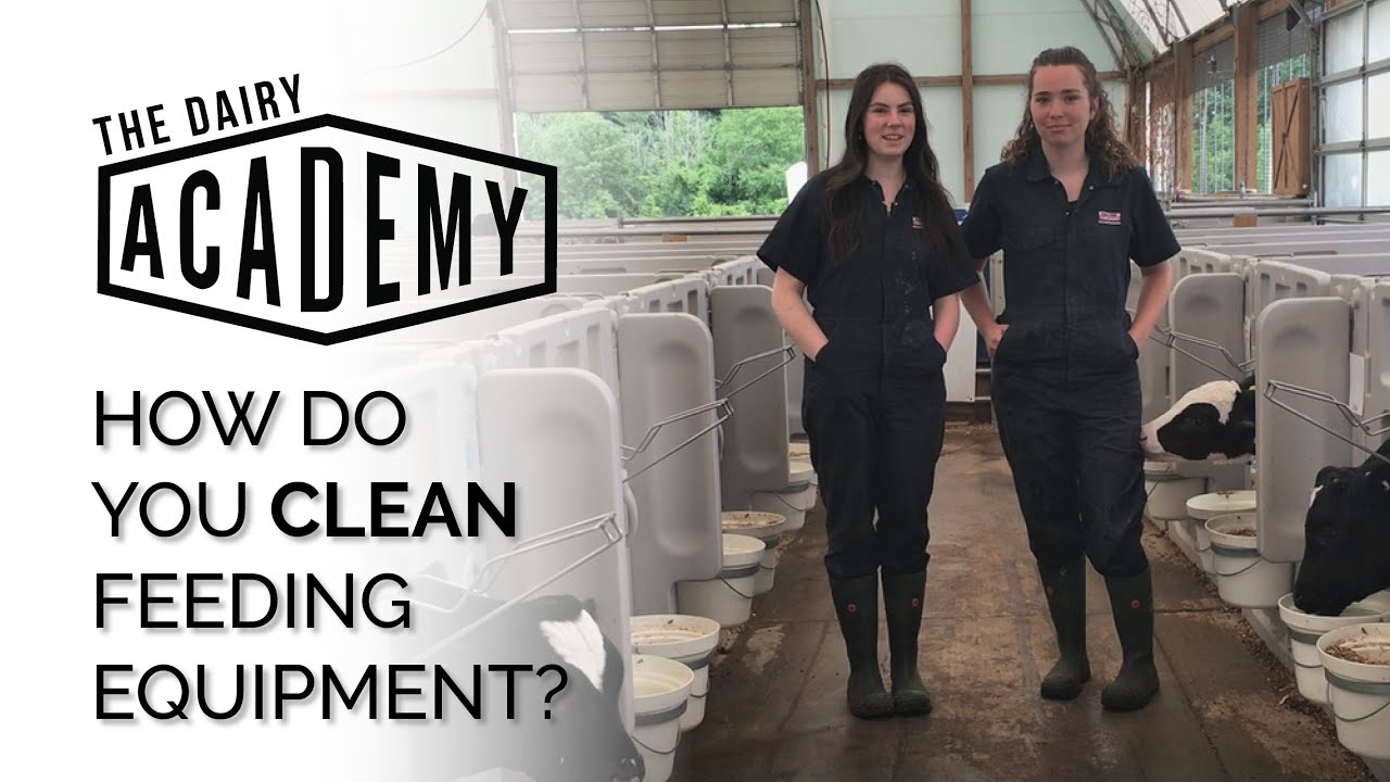 How do you clean feeding equipment? - YouTube