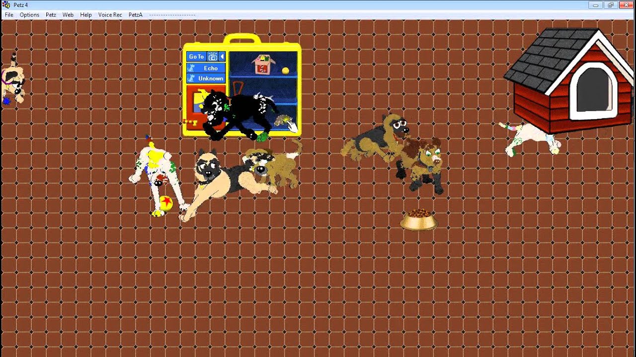 dogz 6 3 2012 - YouTube