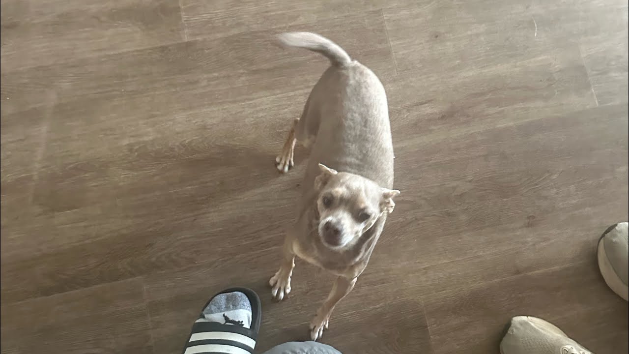 JOSH GOOD LIFE LEADER VID - YouTube