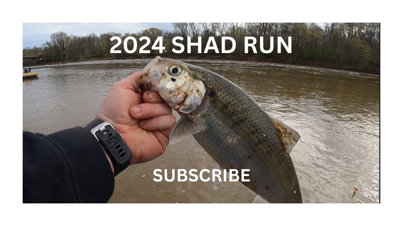 2024 SHAD RUN - YouTube