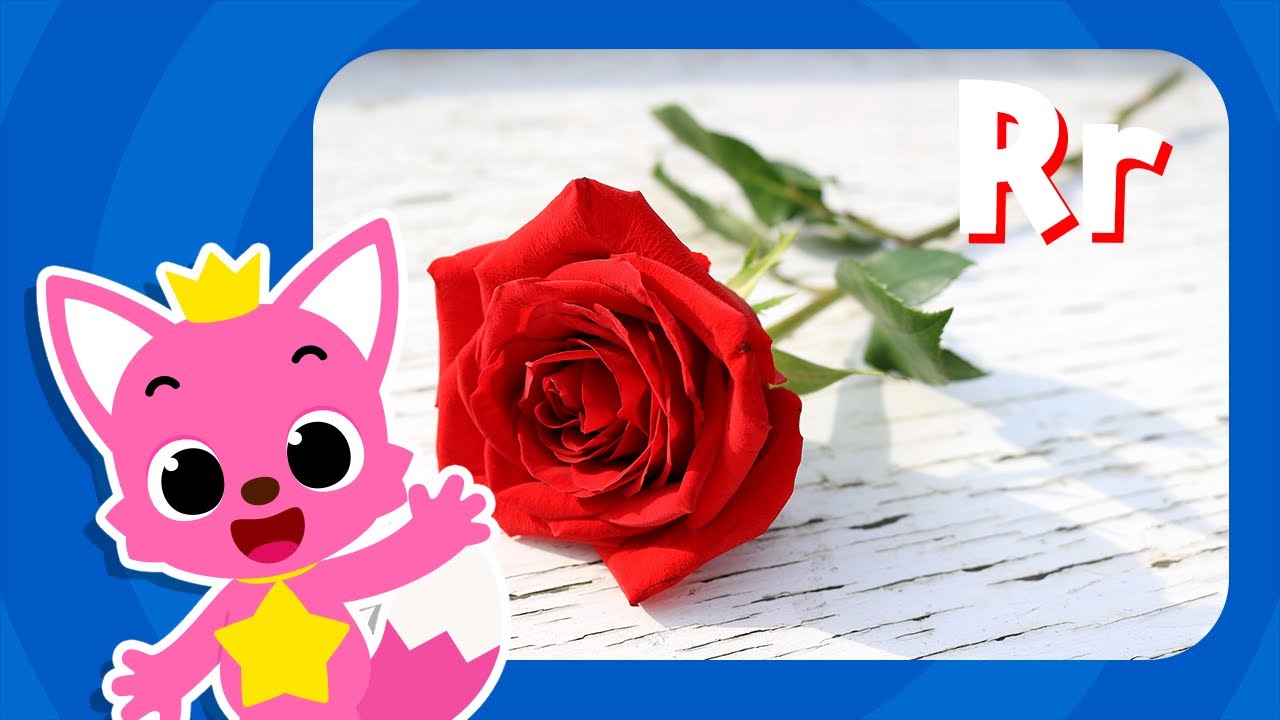 Letter R: Rose | Learn Alphabets | Learn English Alphabet for Kids ...
