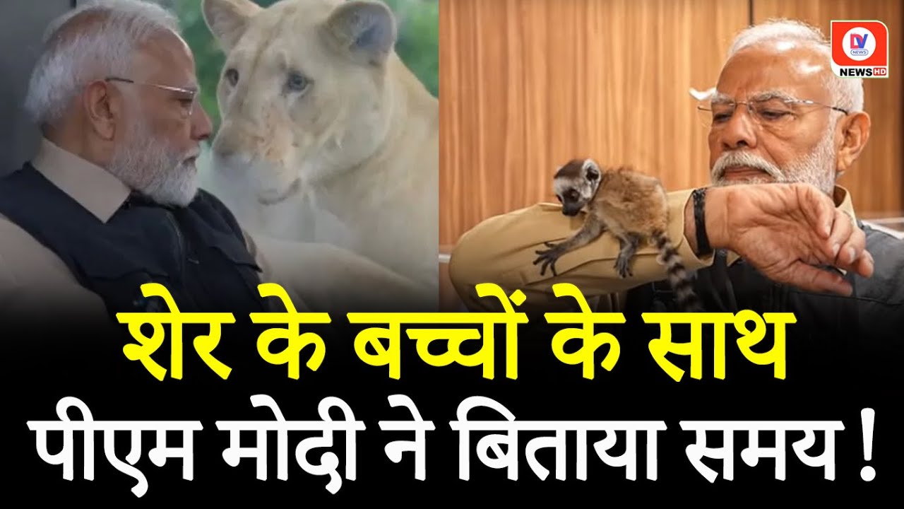 PM Modi Vantara Visit: PM Modi ने Vantara Wildlife Center का किया ...