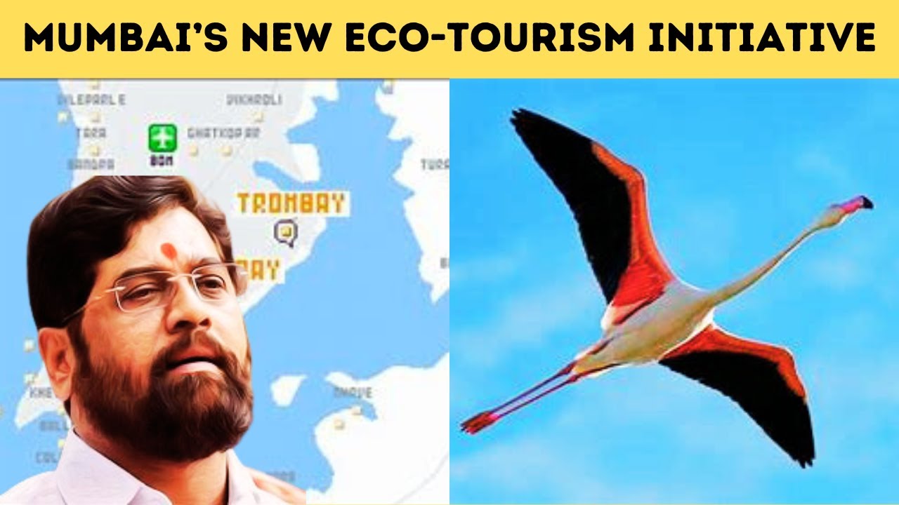 TROMBAY JETTY To Develop Into A FLAMINGO GALLERY | MUMBAI’S New ECO ...