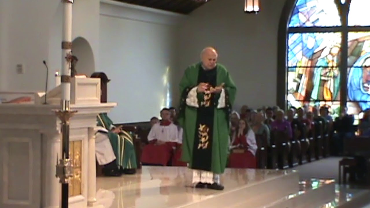 Fr. Ralph Argentino | 15th Sunday in Ordinary Time - YouTube
