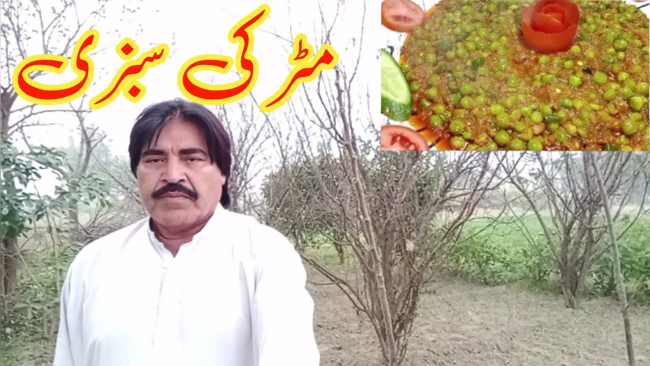 Matar Ki Sabzi By Murad Shah Foods. Types And Pakistan Cooking - YouTube