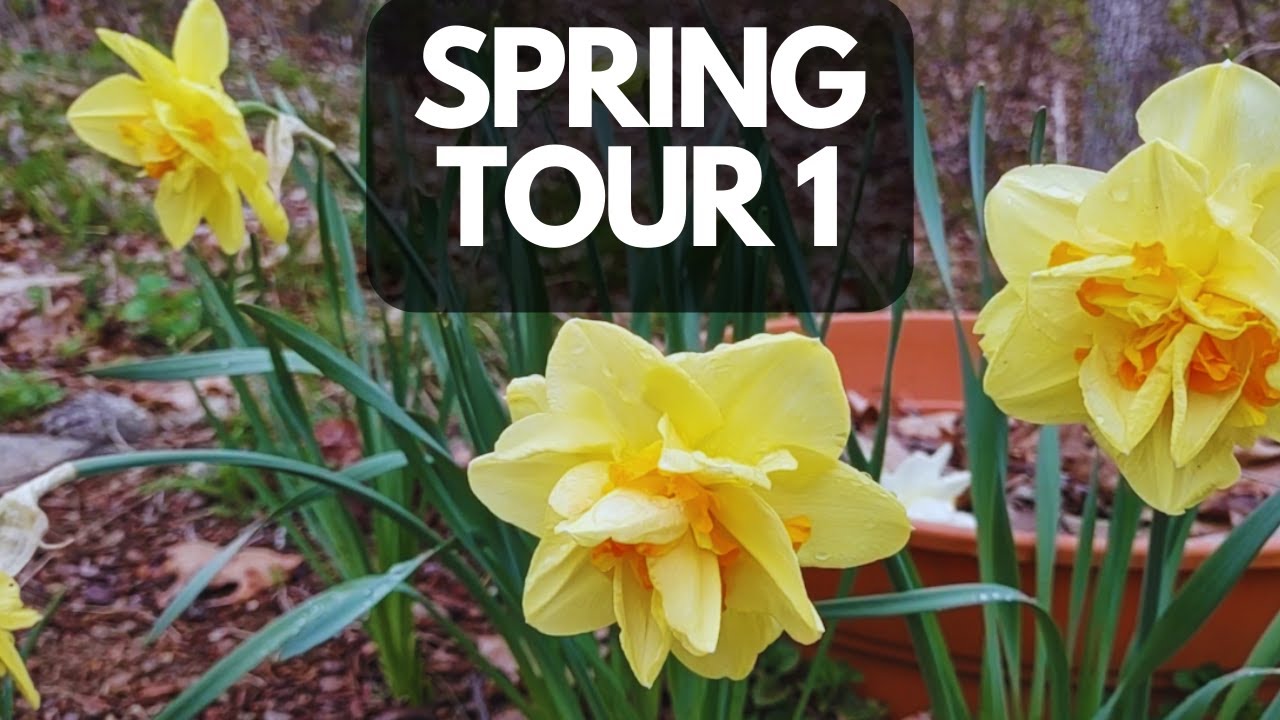 Spring Garden Tour 1 - Spring is Finally Here! #gardening - YouTube