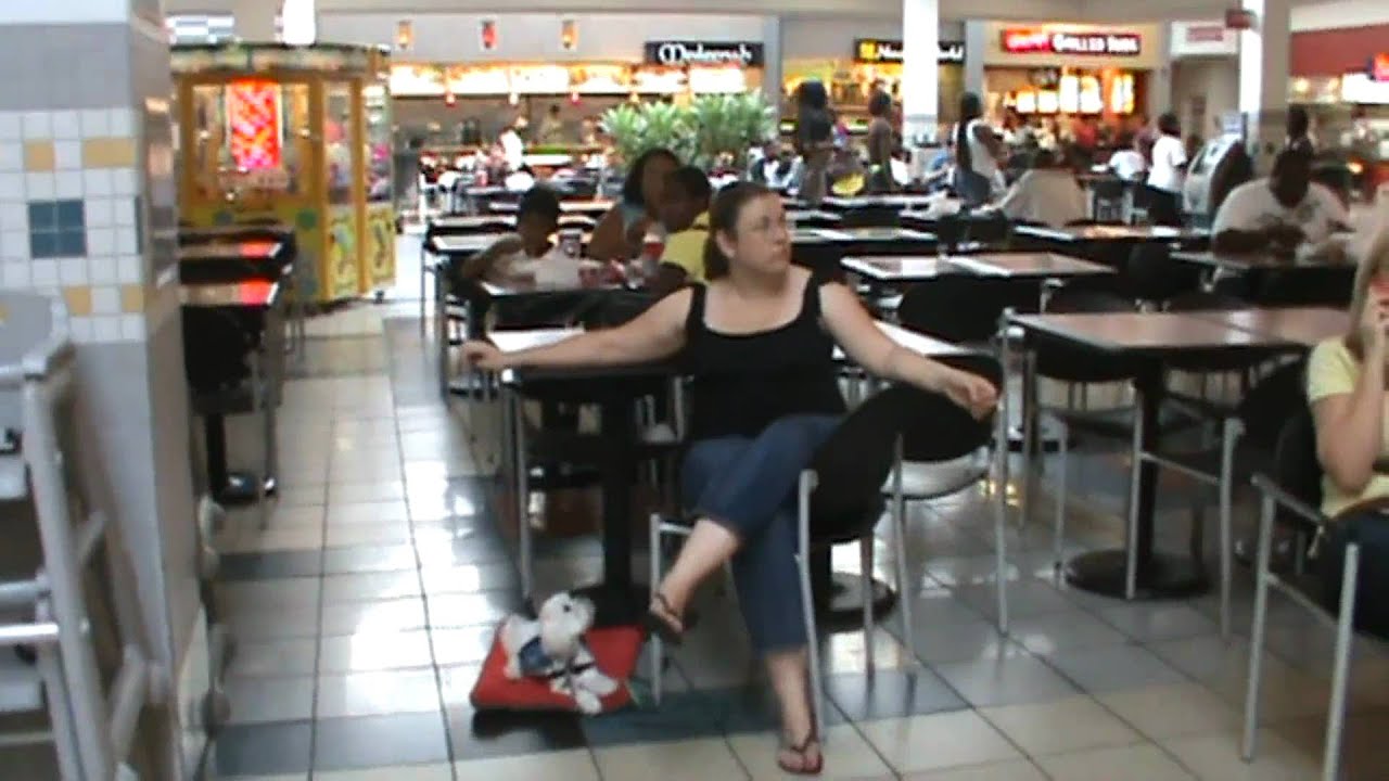 Peanut, the maltese, working as a service dog - YouTube