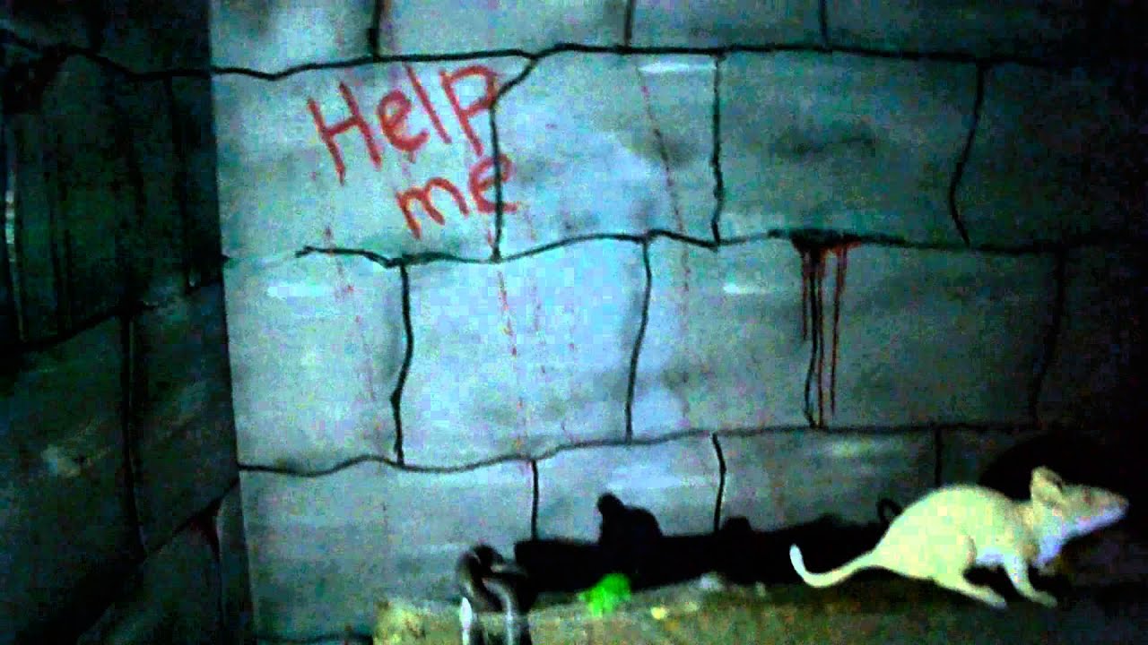 Delta's haunted swamp house - YouTube