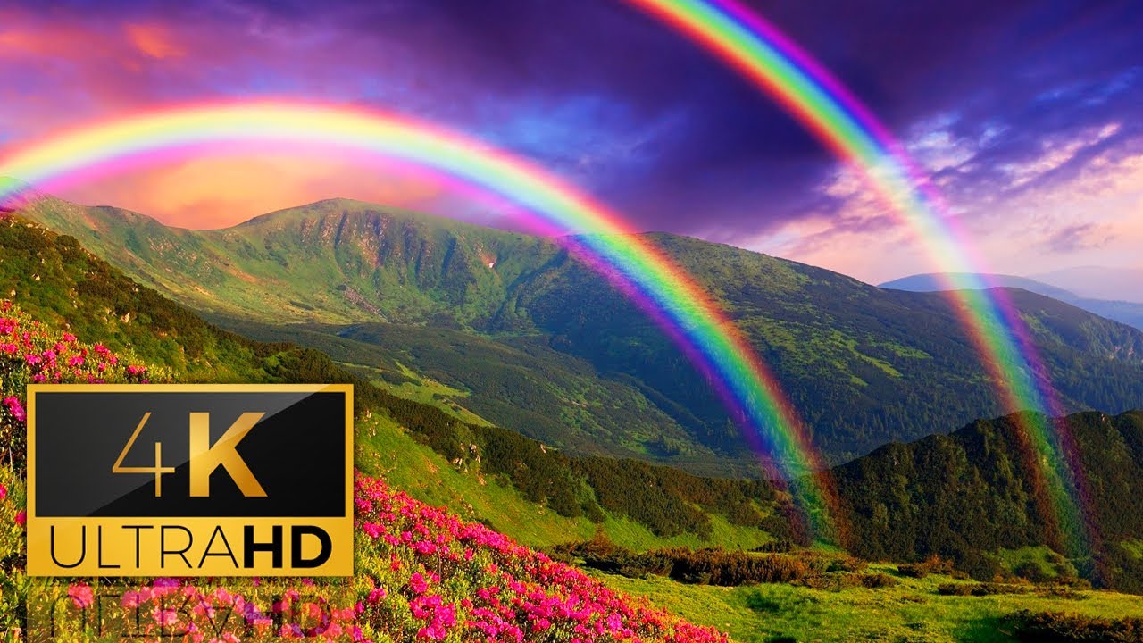 1 Hour Video Of Refreshment Time With Stress-Free, Soul Healing ...