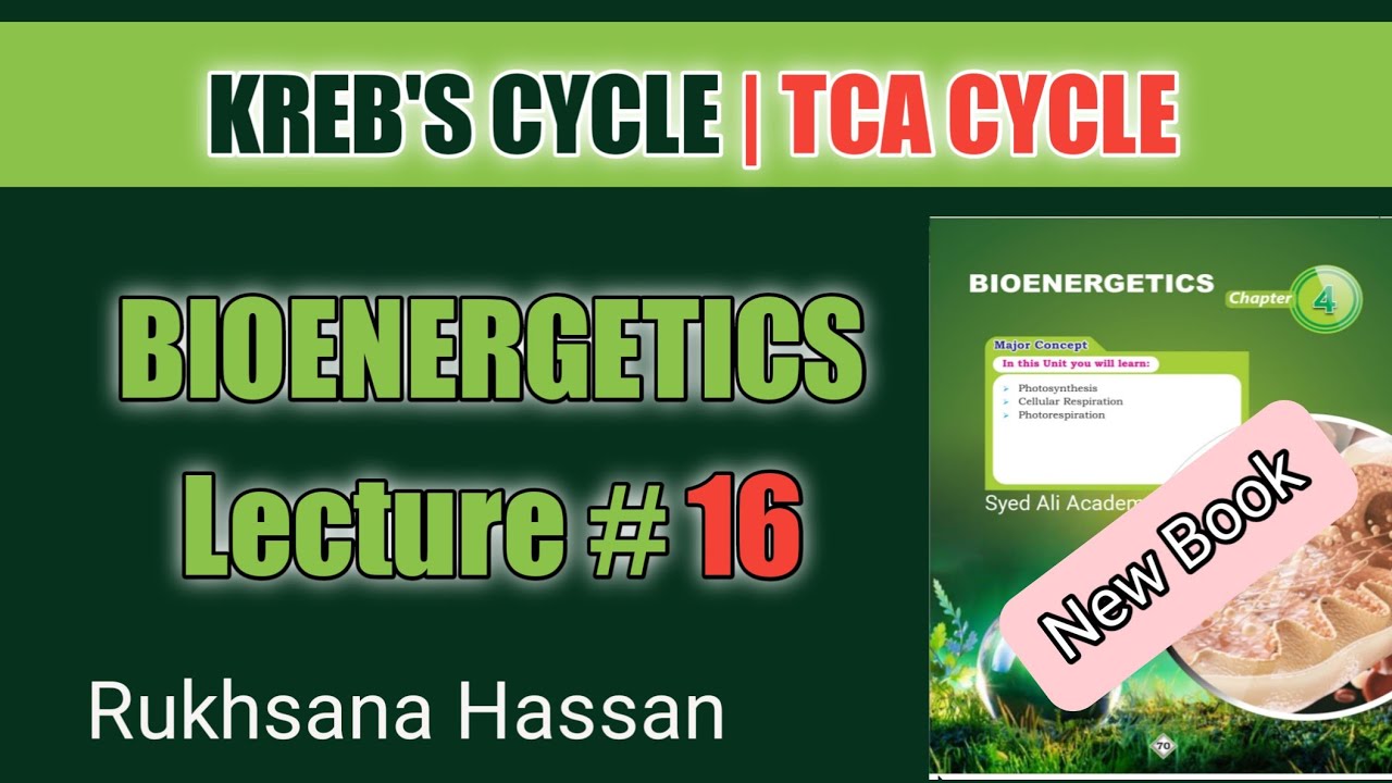 KREB's CYCLE | TCA CYCLE | Biology New Book | Chapter #4 ...