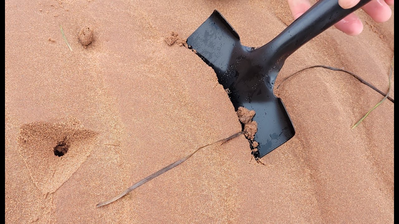 Clam digging in PEI - YouTube