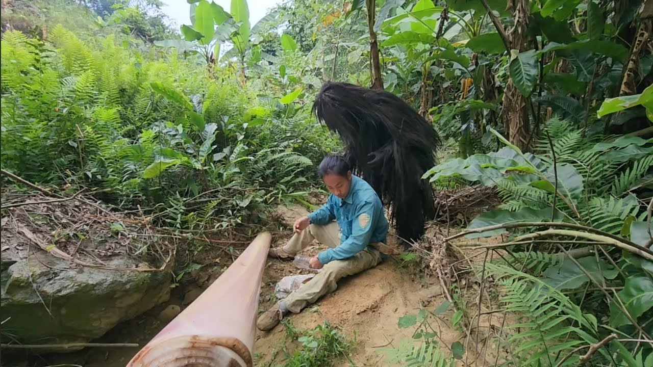 The hunter was engrossed in eating wild fruits until he looked back and ...