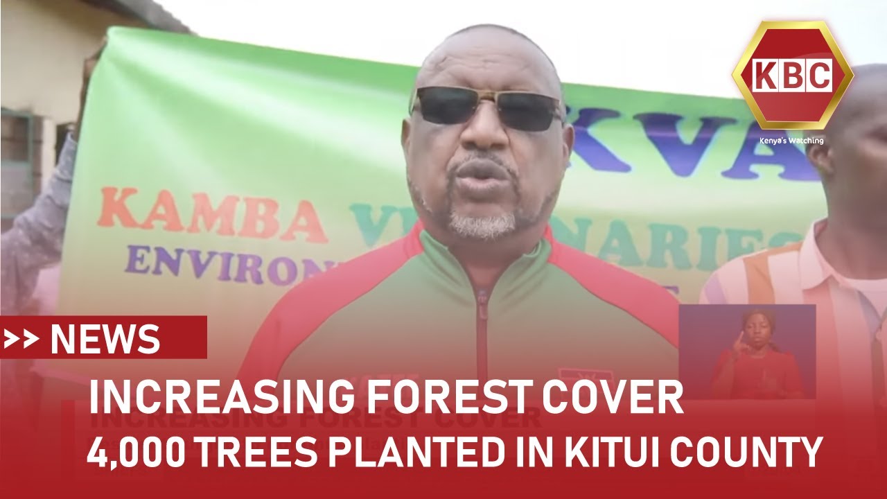 Increasing Forest Cover I14000 trees planted in Kitui County - YouTube