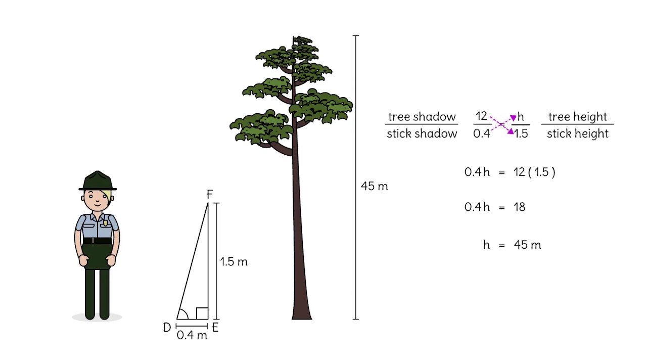 Solving Proportions: Similar Triangles - YouTube