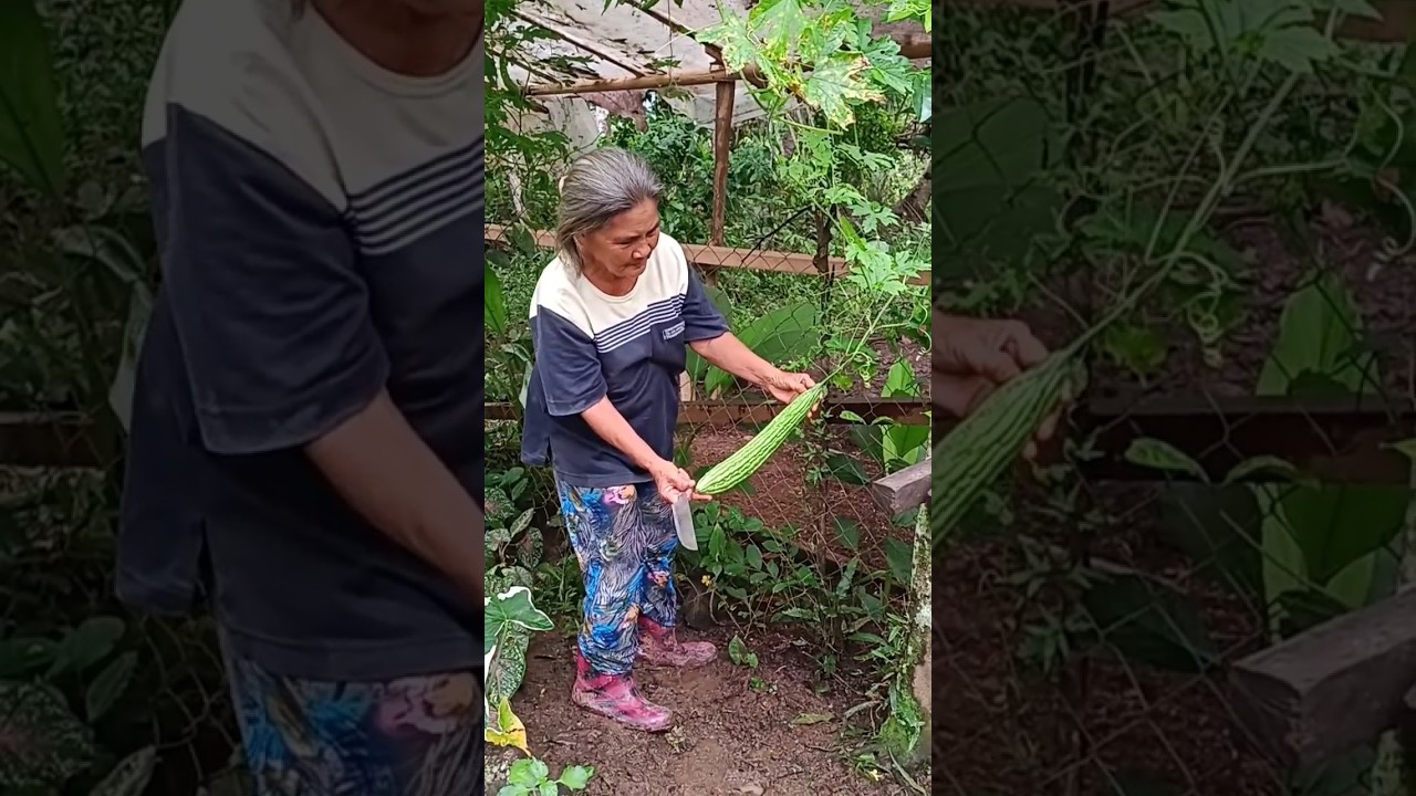 Nanay said, wow 😳 #shorts #short #wow #diy #farming #asmr #farmer # ...