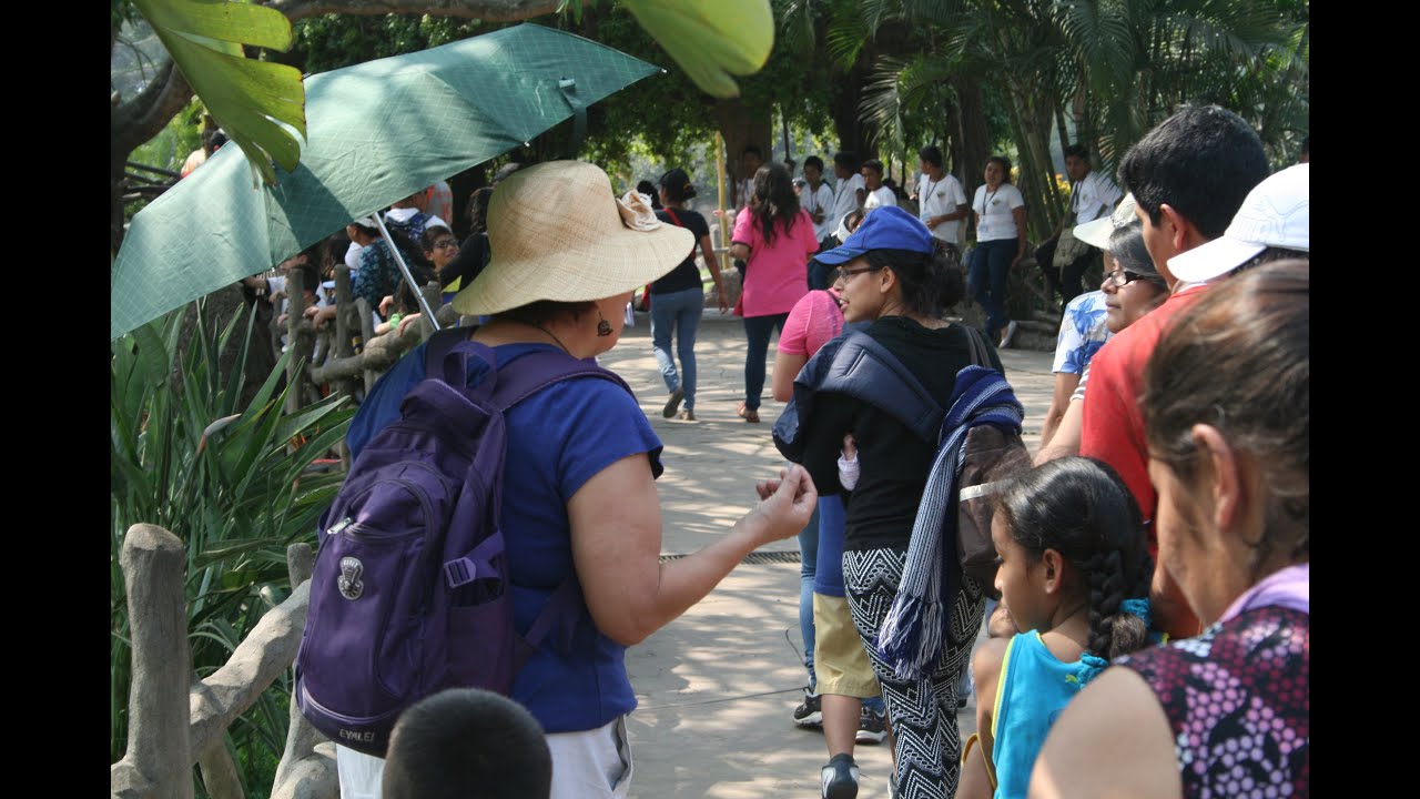 PROGRAMAS DE ISIPS, PSICOLOGÍA, USAC, VISITAN EL ZOOLÓGICO - YouTube