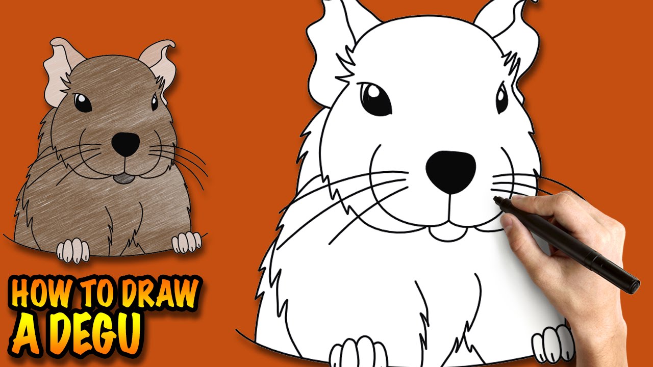 How to draw a Degu - Easy step-by-step drawing tutorial - YouTube