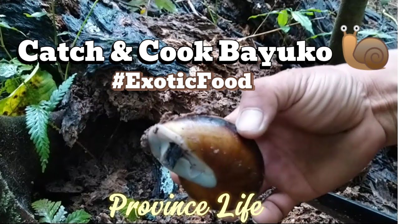 Exotic food hunting | Catch & Cook Bayuko | Province Life - YouTube