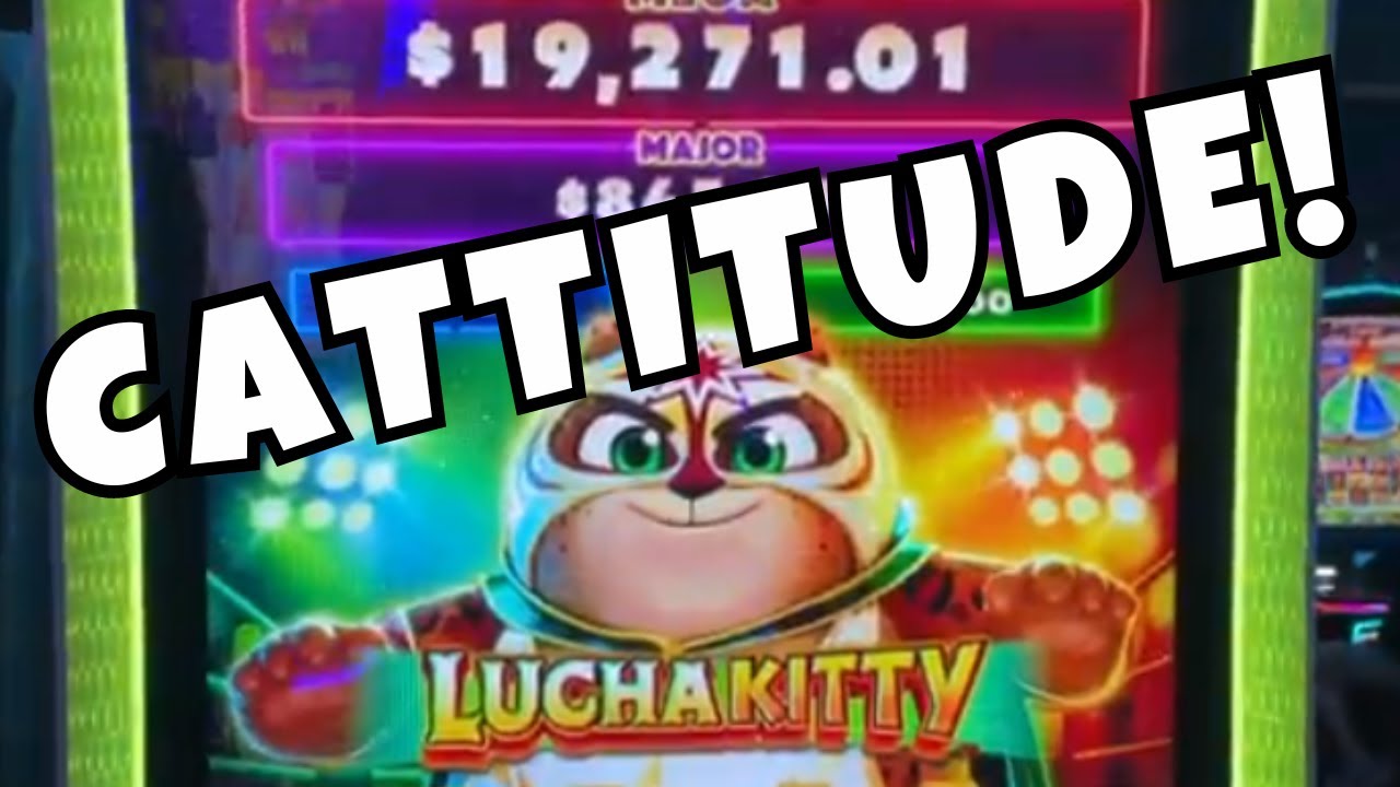 First time playing with THIS KITTY! Lucha "Fight" Kitty, Got that RIGHT ...