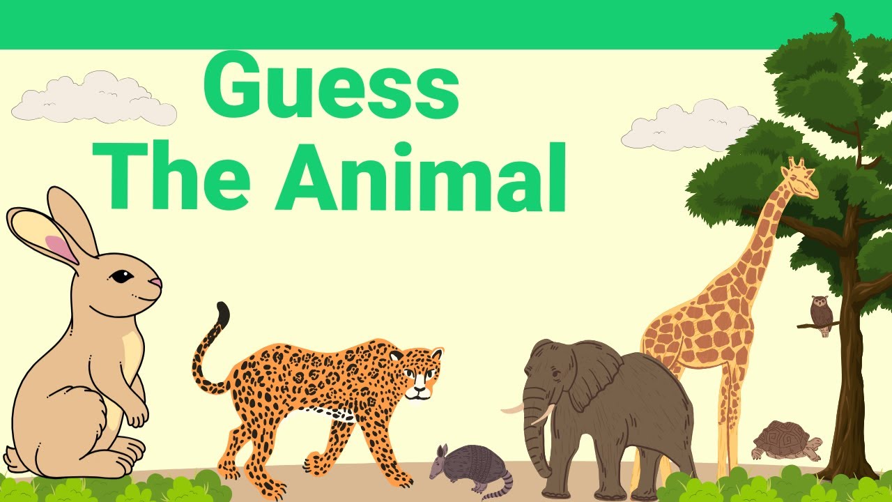 "Guess the Animal Challenge 02 : Test Your Wildlife Knowledge!" - YouTube