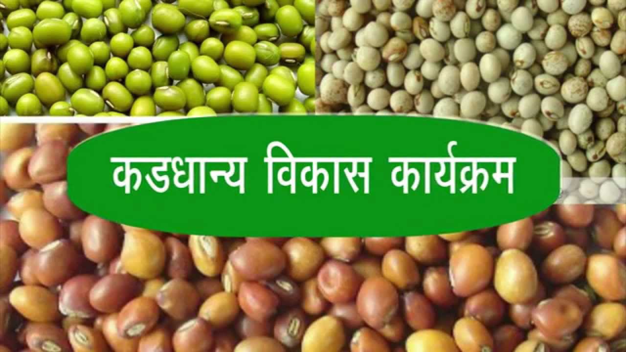 kad dhanya vikas - YouTube