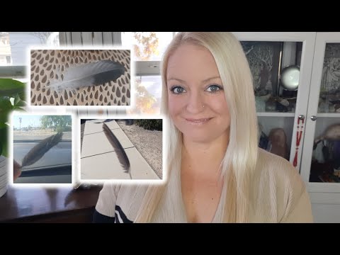 Feathers from Heaven and the Magic of Threes | Symbols, Omens & Numerology | Spirit Messages ...