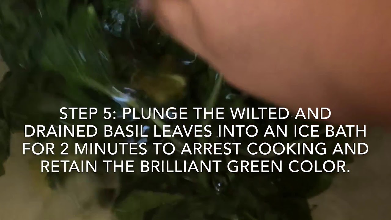 Basil Purée - How to blanch, purée and store basil leaves. - YouTube