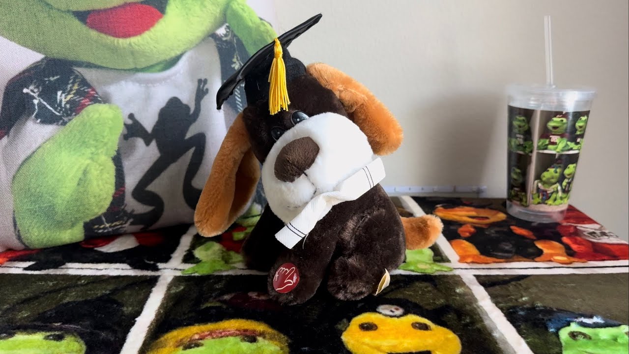 DanDee - Spinning Graduation Dog - “Celebration” - YouTube