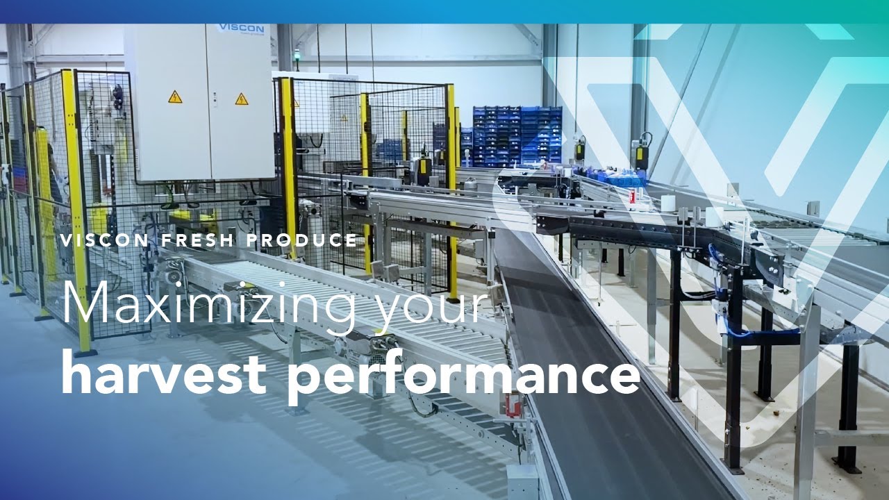 Maximizing mushroom harvest performance - Viscon Fresh Produce - YouTube