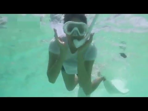 160303 AOA Seolhyun(설현)- Teaser Cut (Law of the jungle)