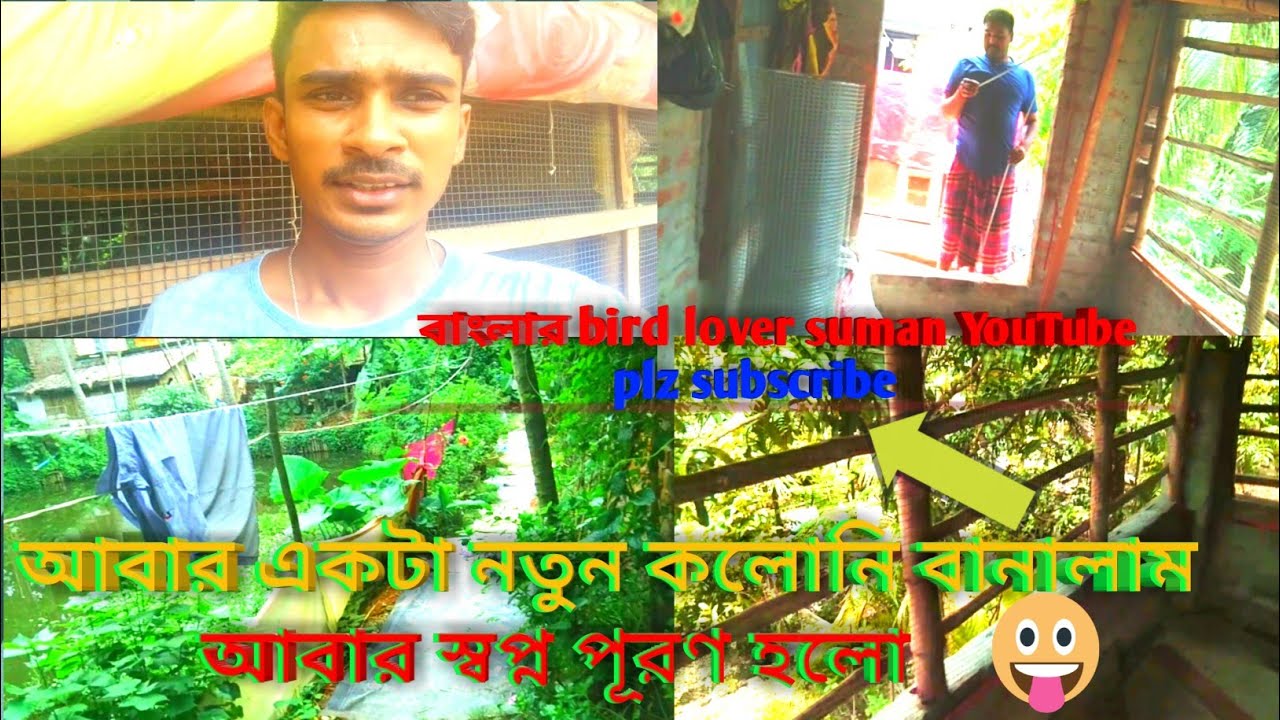 Birds Outdoor Aviary Setup / Bird Farm Aviary Colony New Setup Tips ...