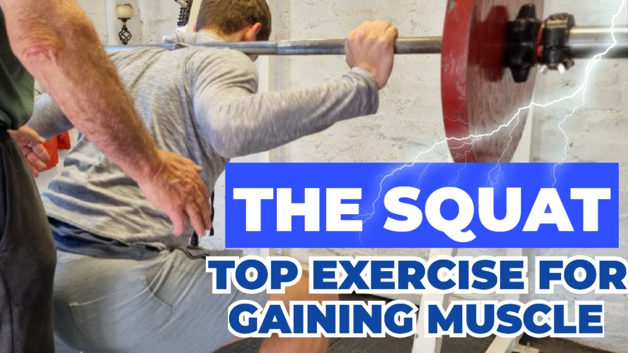The Squat - Top exercise for gaining muscle - YouTube