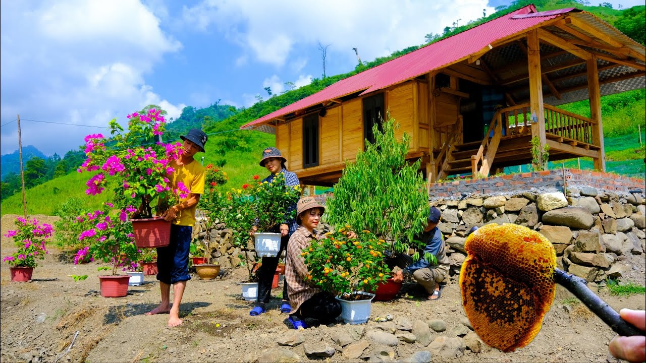 Building a new life episode 65 | Plant flowers to beautify the farm, go ...