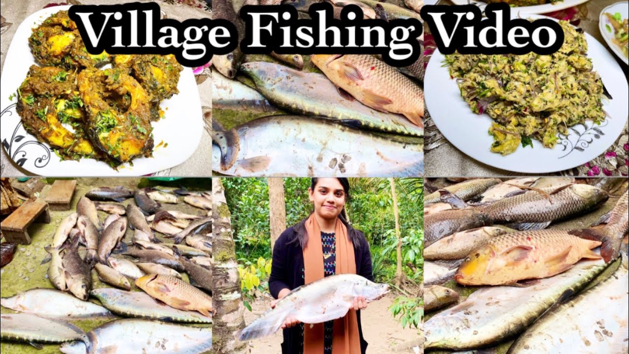 Village Fishing Video || Catching So Many Different Big Fishes In Pond ...