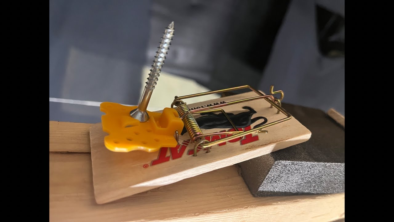 Sunday Morning Mouse Trap Challenge - YouTube