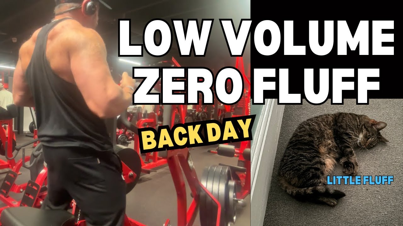 Low Volume ZERO FLUFF: Back & Abs Training Update - YouTube