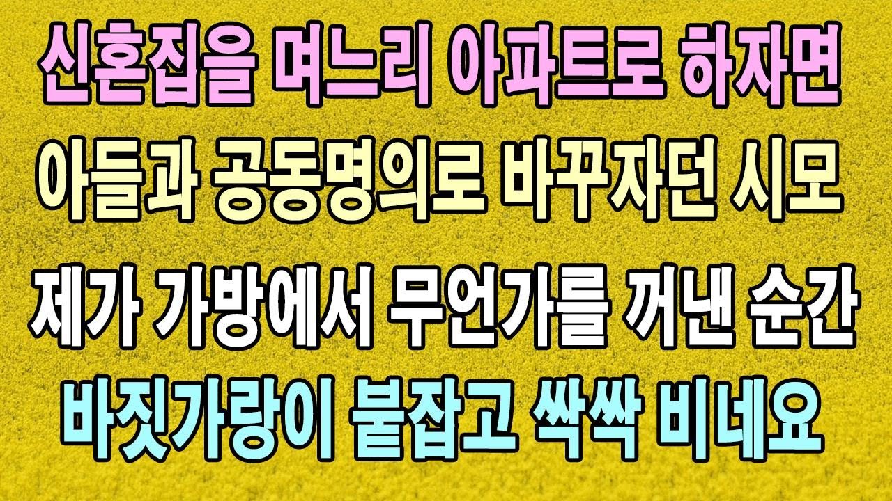 사이다 사연 아들과 공동명의로 신혼집을 며느리 아파트로 하자던 시어머니가 가방에서 뭔가 꺼내는 순간 바지끝을 붙잡고