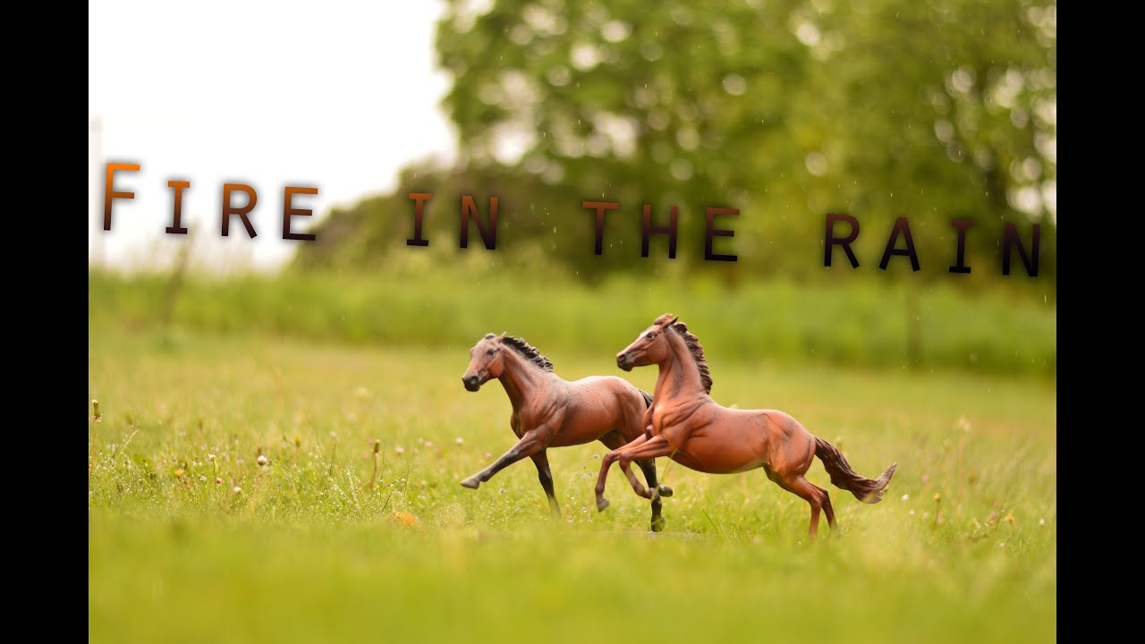 Fire in the rain || Breyer music video - YouTube