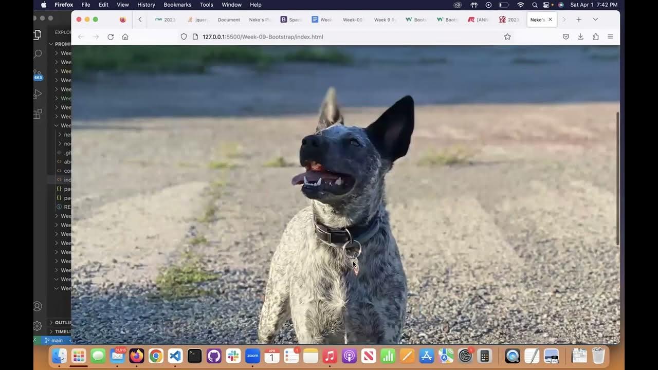 Week 9 - Bootstrap Coding Assignment - YouTube