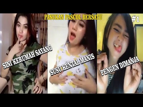 Mempersatu pasukan pascol #part1