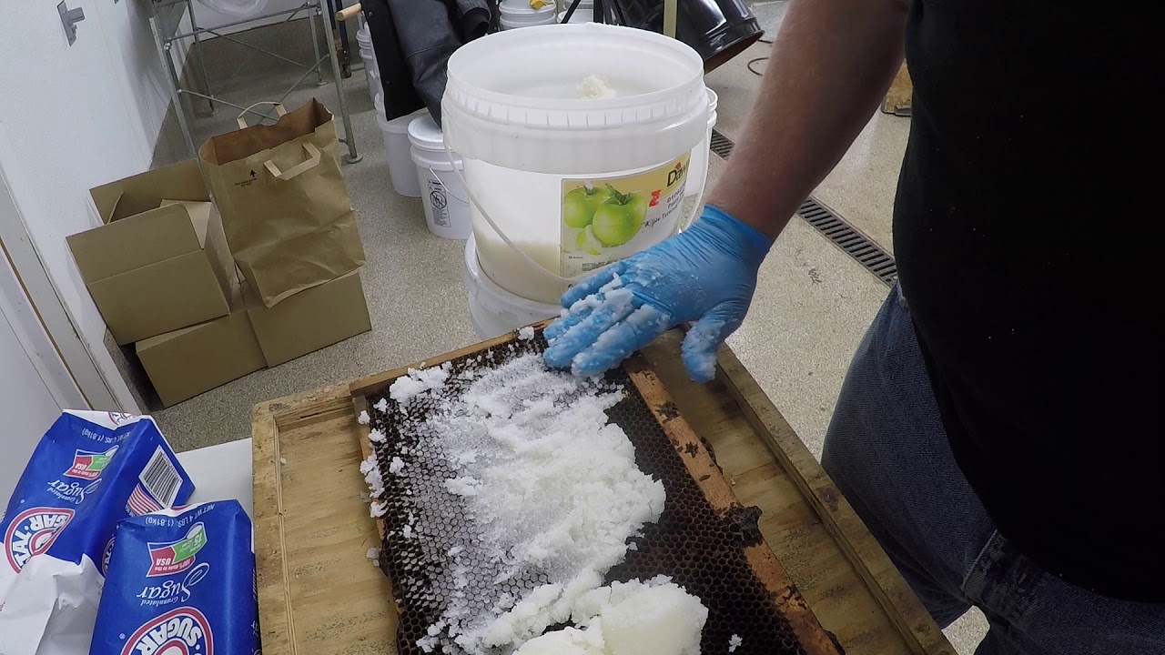 Making a Sugar Frame and Sugar Cake - YouTube