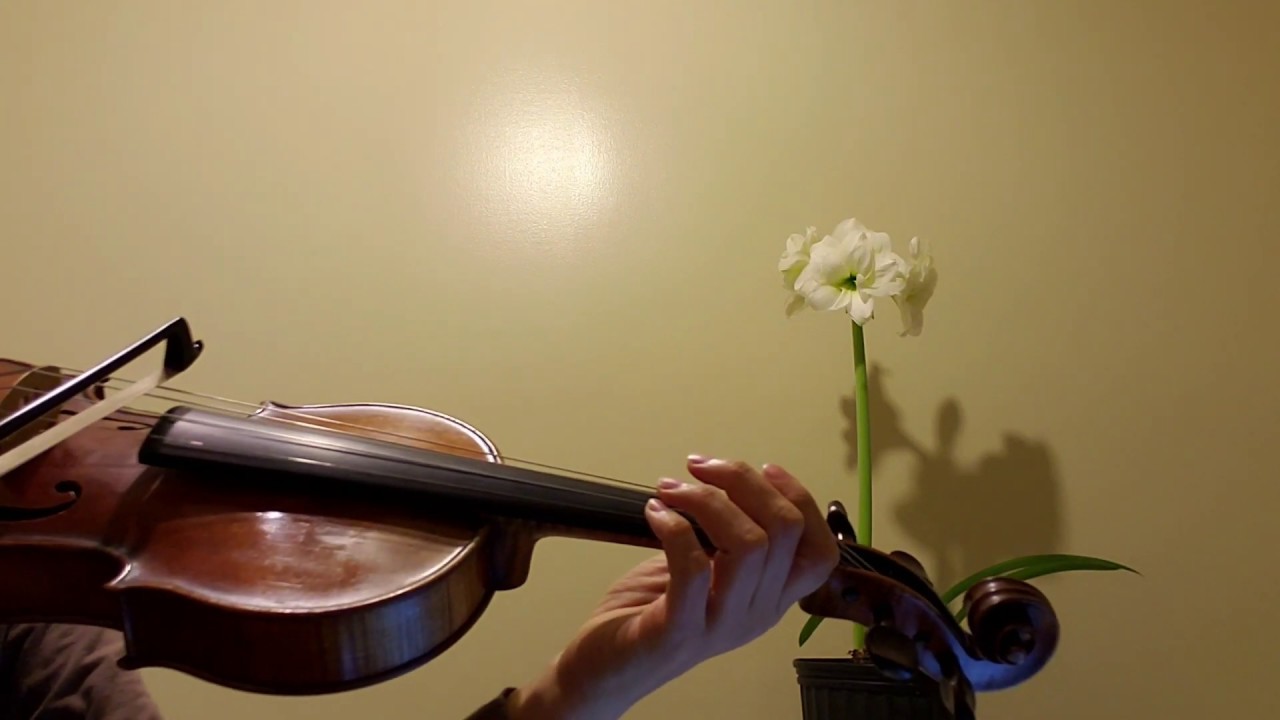 One minute bow - violin practice - YouTube