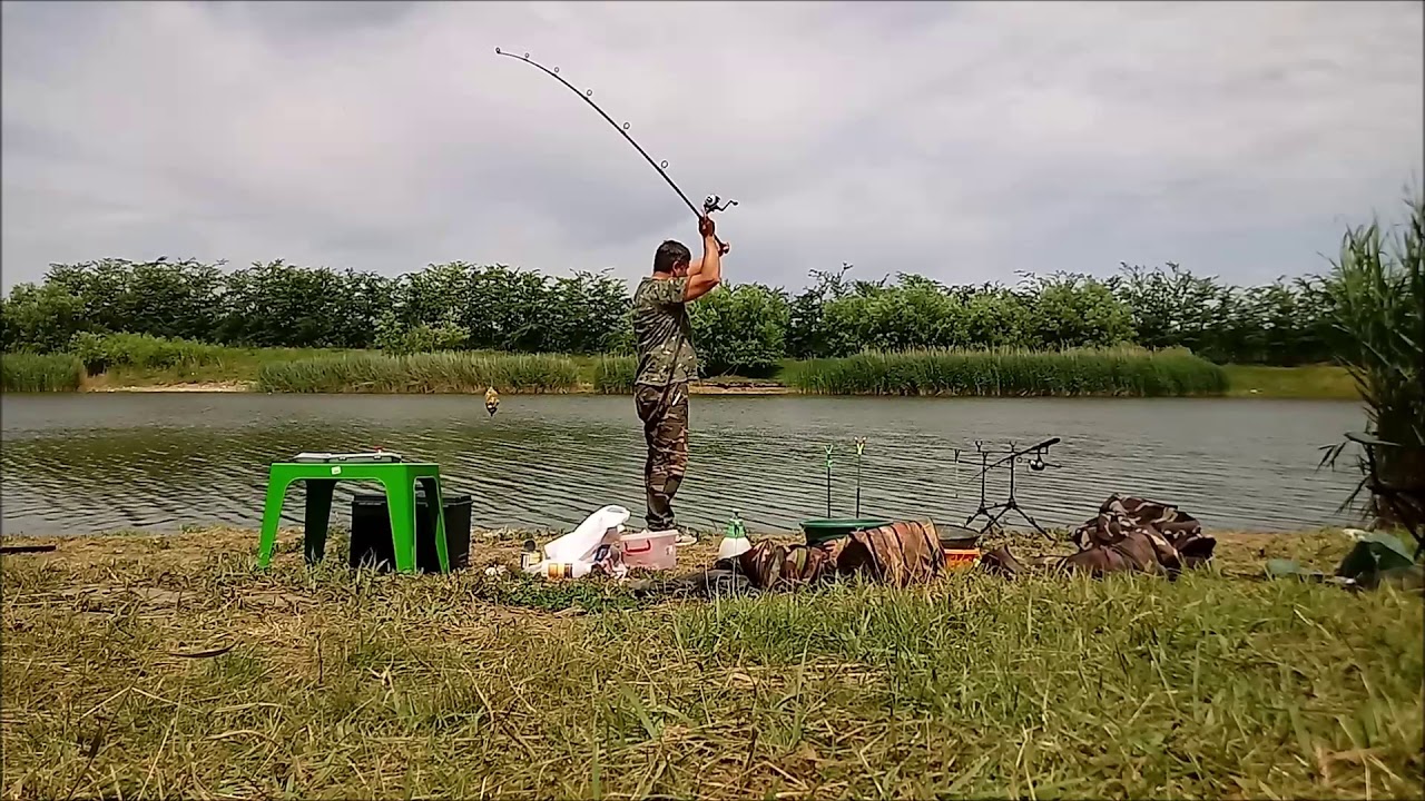 Partida de pescuit pe balta Nemti 06.06.2020 - YouTube