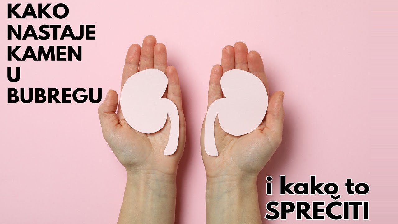 KAKO NASTAJE KAMEN U BUBREGU, i kako to SPREČITI - YouTube