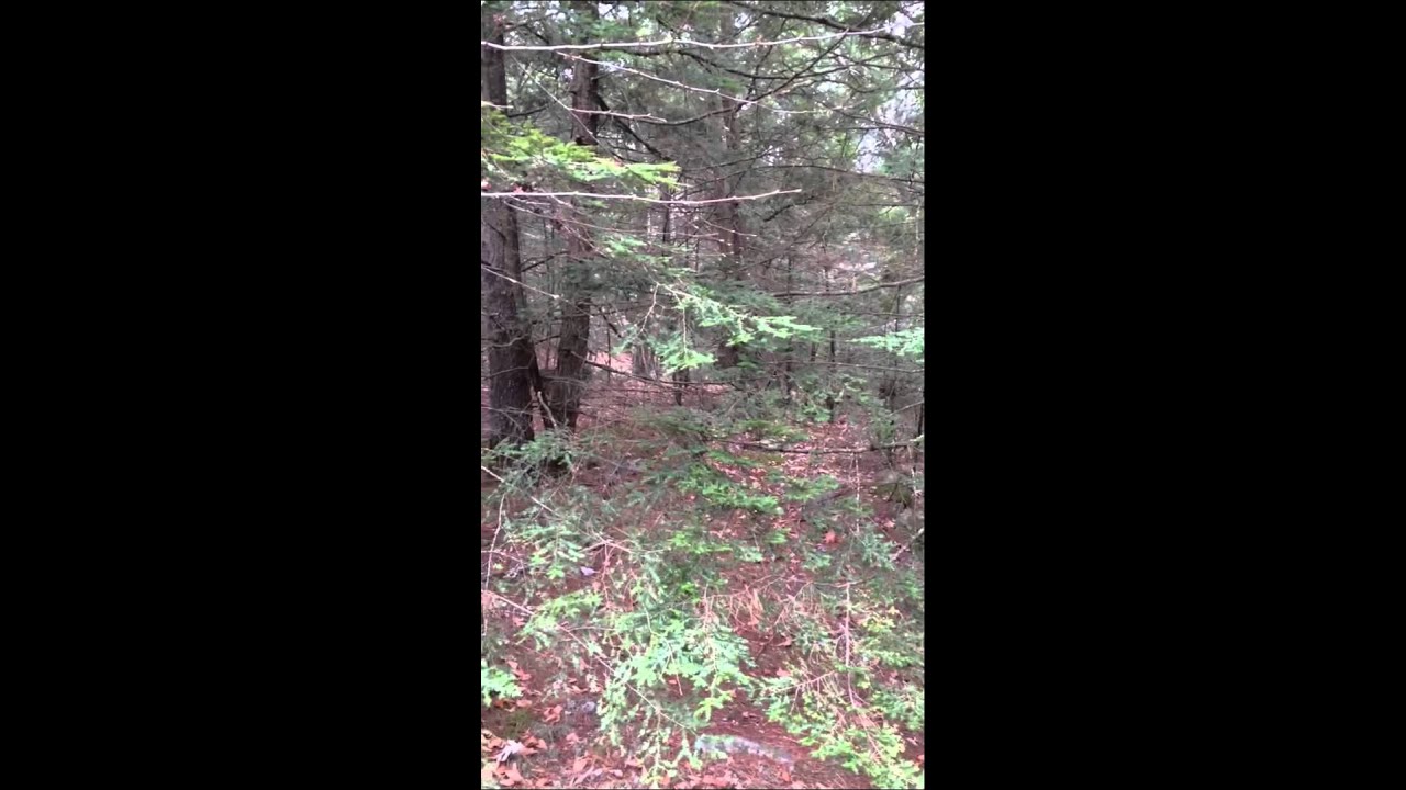 Bigfoot in Epsom New Hampshire - YouTube