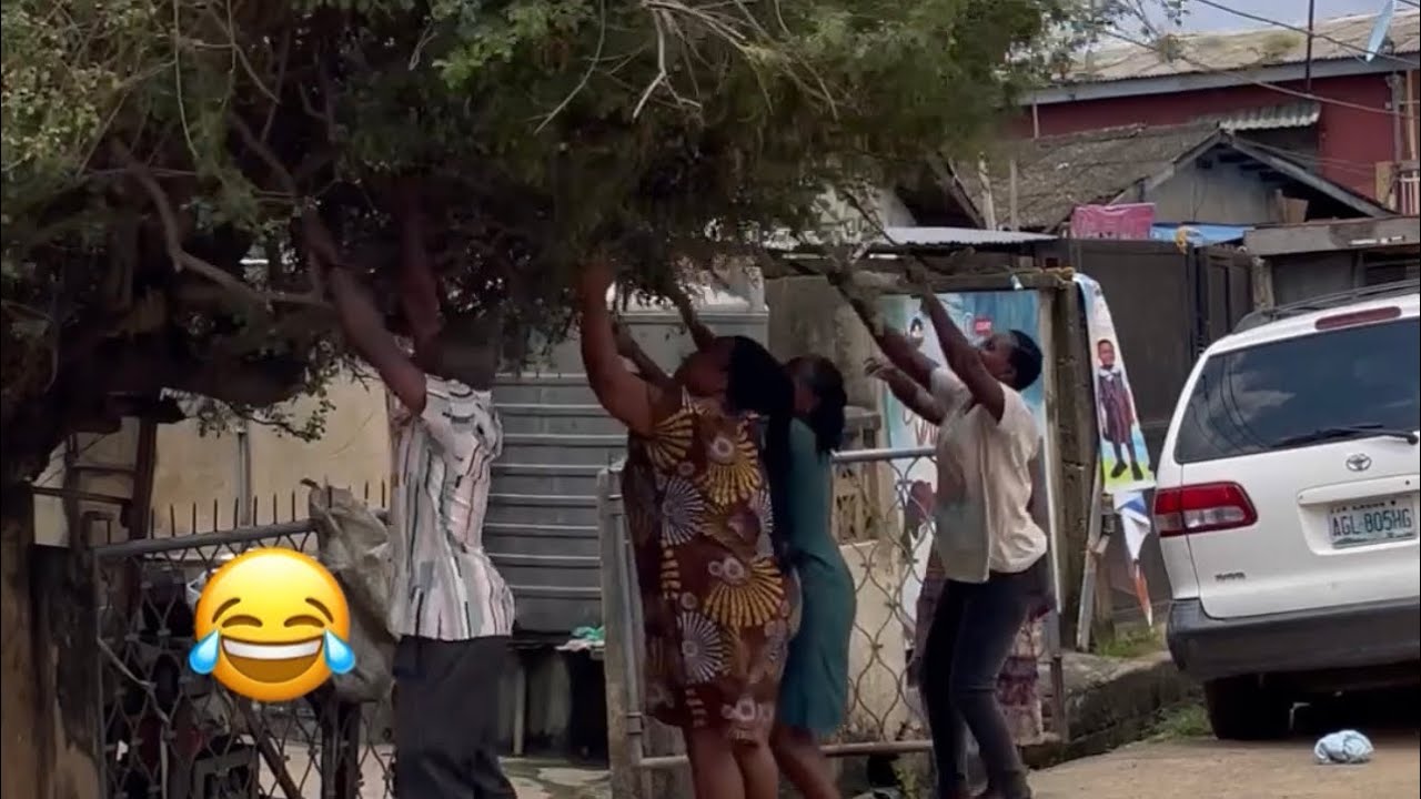 The Funniest of TRYLIPS Money plucking prank 🤣🤣🤣🤣🤣 (BEST REACTIONS) - YouTube